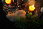 Geode Christmas Arrangement | Geode Arrangement | Geode Decor | itslife.in