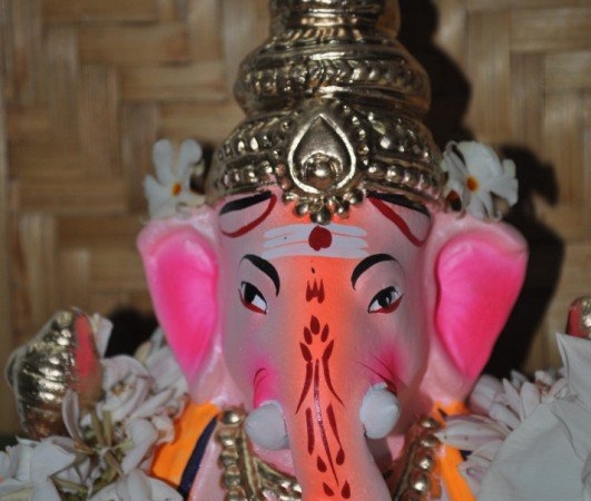 Parijata Tree | itslife.in