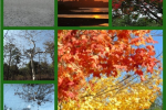 Ritu - Indian Seasons - Rithu | itslife.in