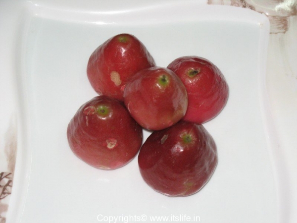 Malayan Apple | itslife.in