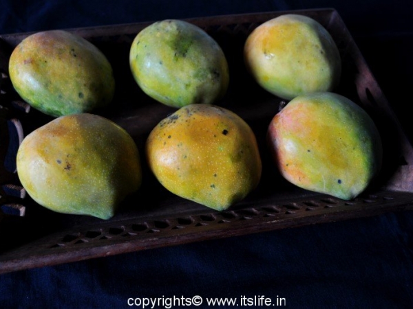 Types of Manoges | Varieties of Mangoes | Indian Mangoes