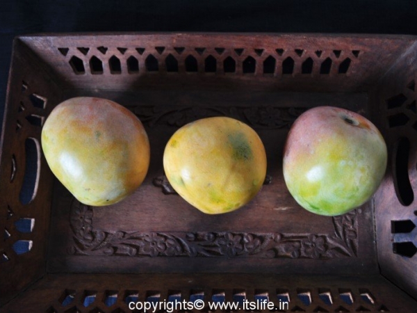 Types of Manoges | Varieties of Mangoes | Indian Mangoes