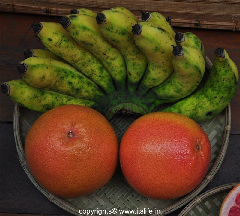 goodness-of-nature | itslife.in