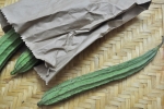 Ridge Gourd | Heerekayi | Torai | Ribbed Sponge Gourd | Angled loofah ...