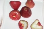Malayan Apple | itslife.in