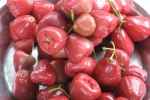 Malayan Apple | itslife.in