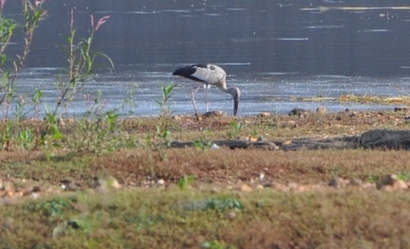 Markonahalli Dam Archives | itslife.in
