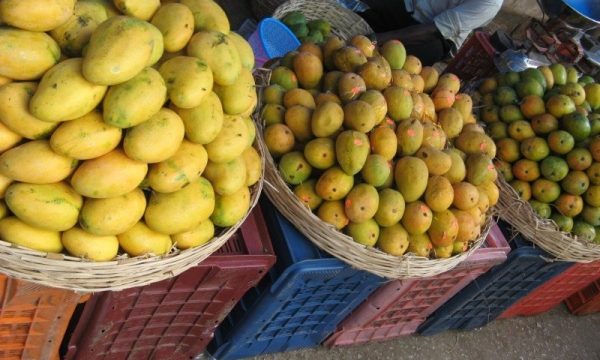 Goodness of Nature Archives | itslife.in