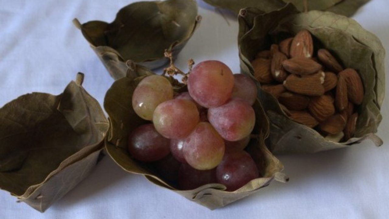 Palash Tree Leaves The Yellow Palash (Butea Monosperma)|Buy Yellow